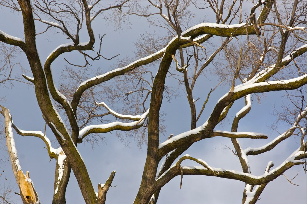 Parkour Day 2 - More Baby Steps Towards Freedom — Move With Seth